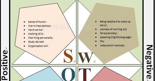 Dana Shin Leadership profile: SWOT Analysis