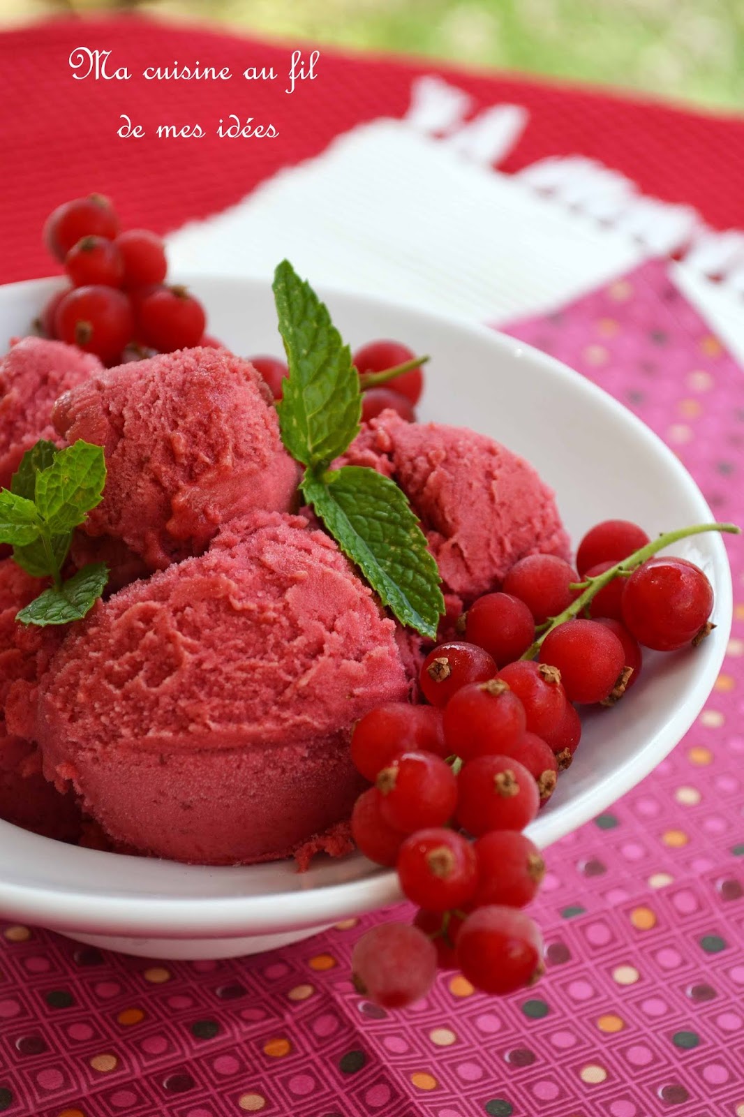 Ma cuisine au fil de mes idées...: Sorbet aux groseilles rouges ...