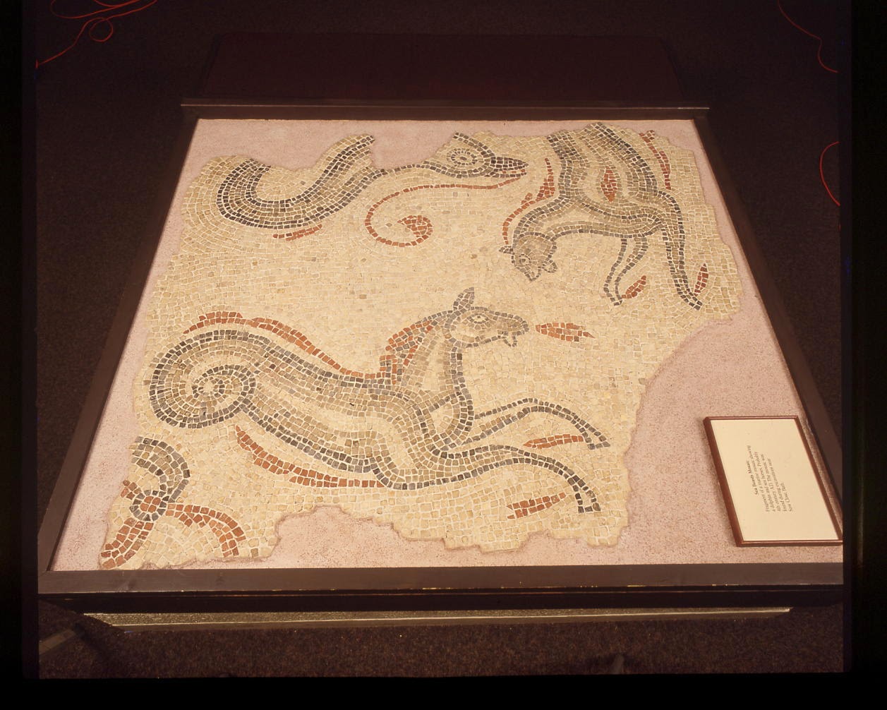 Beyond the Baths: The Hippo Camp!