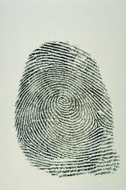 HUELLAS FORENSES: TIPOS