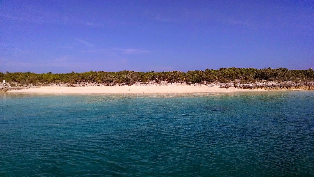 Close Quarters: Little Bits of Limestone