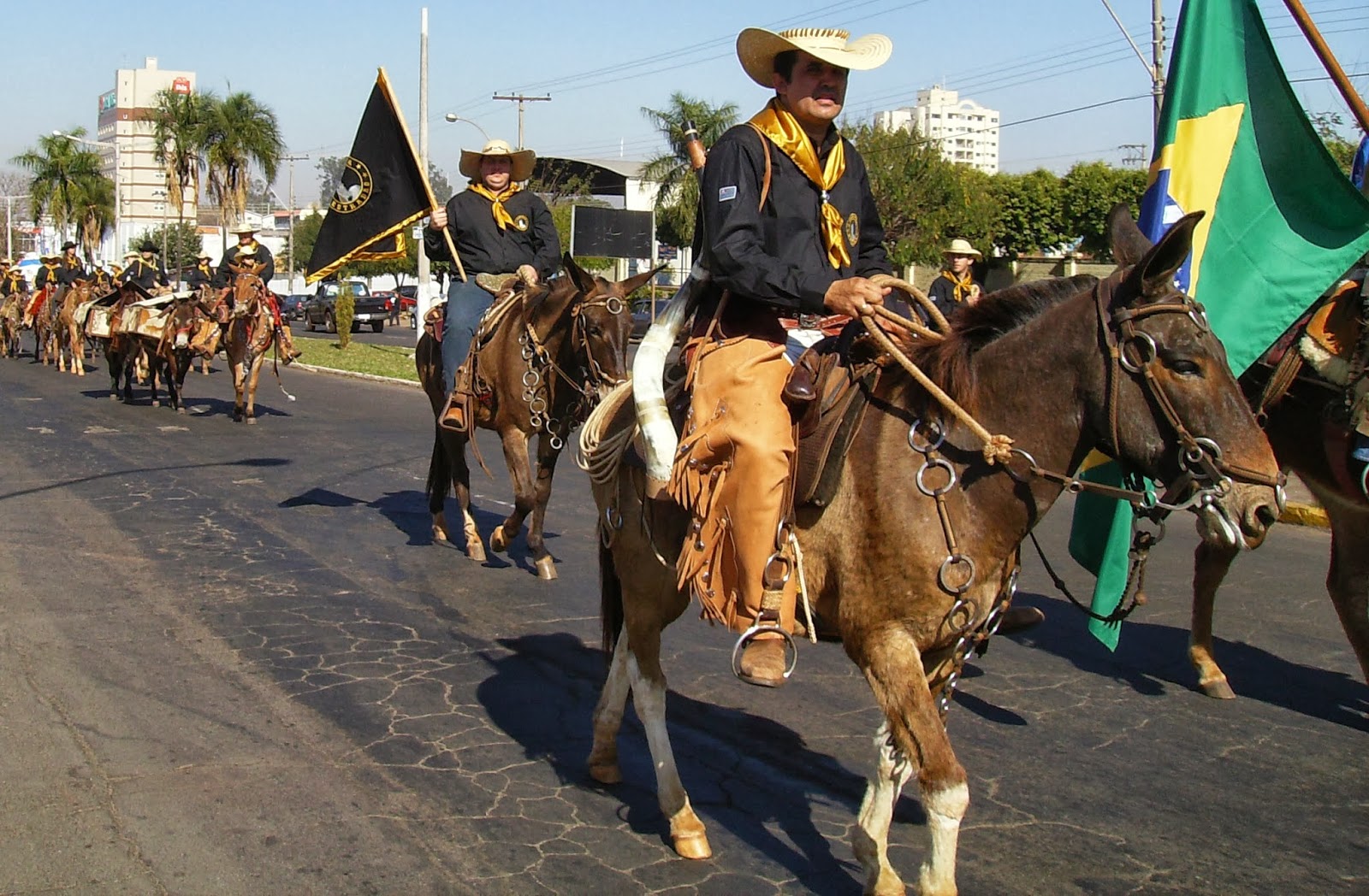 BLOG FAMÍLIA NAVES: Tradições na Família Naves - COMITIVAS e CAVALGADAS.