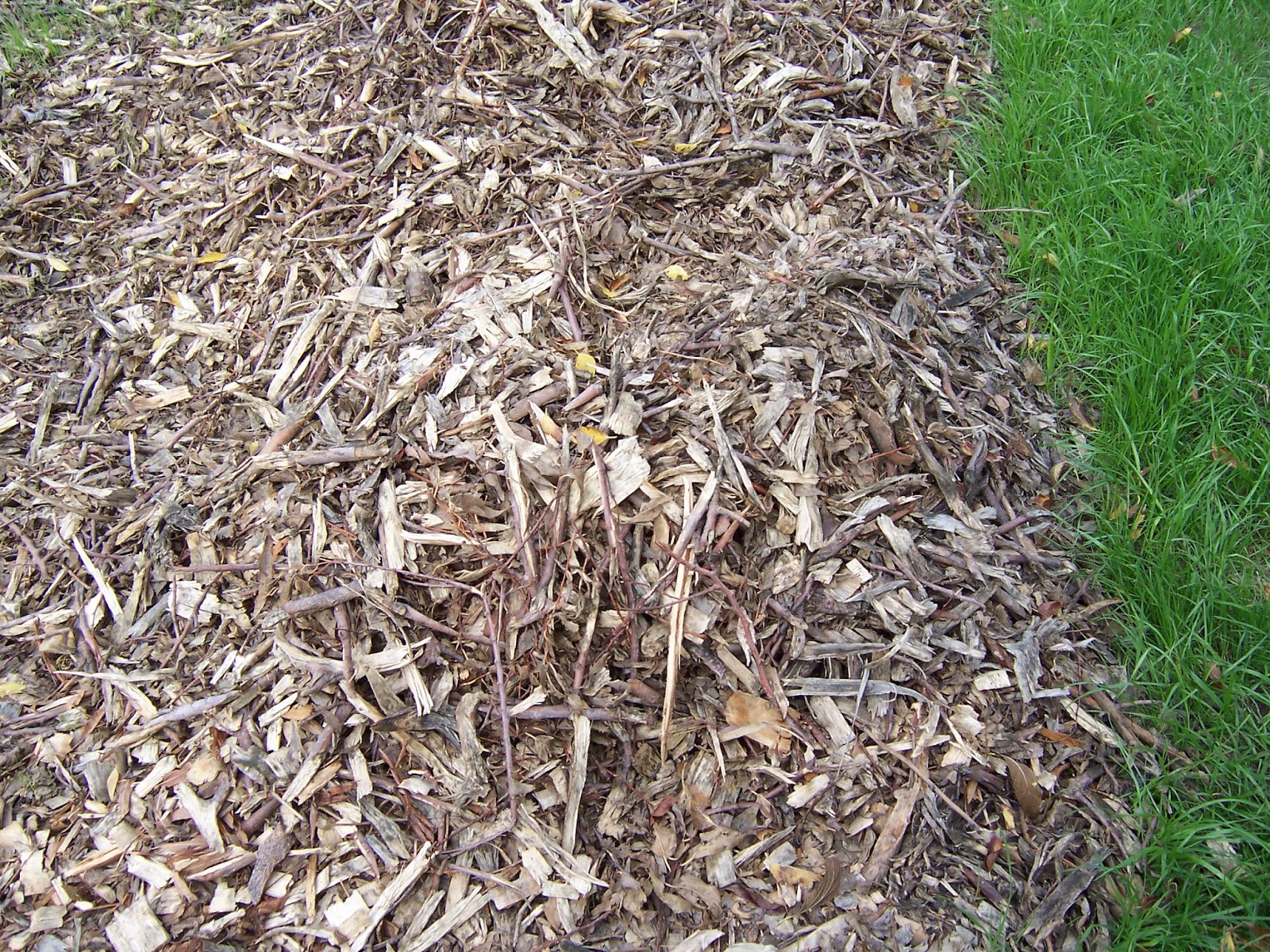 I Grow Vegetables: How to Use Mulch in the Garden