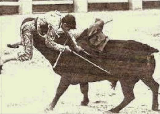 Farpas Blogue: Foi há 40 anos na Figueira da Foz: a última corrida de ...