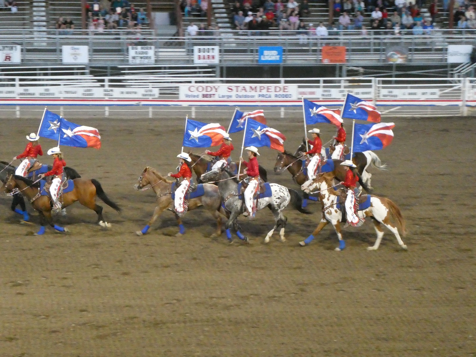 Third Age Traveler: OF CATTLE, THE BIGHORNS, WILD MUSTANGS AND RODEOS