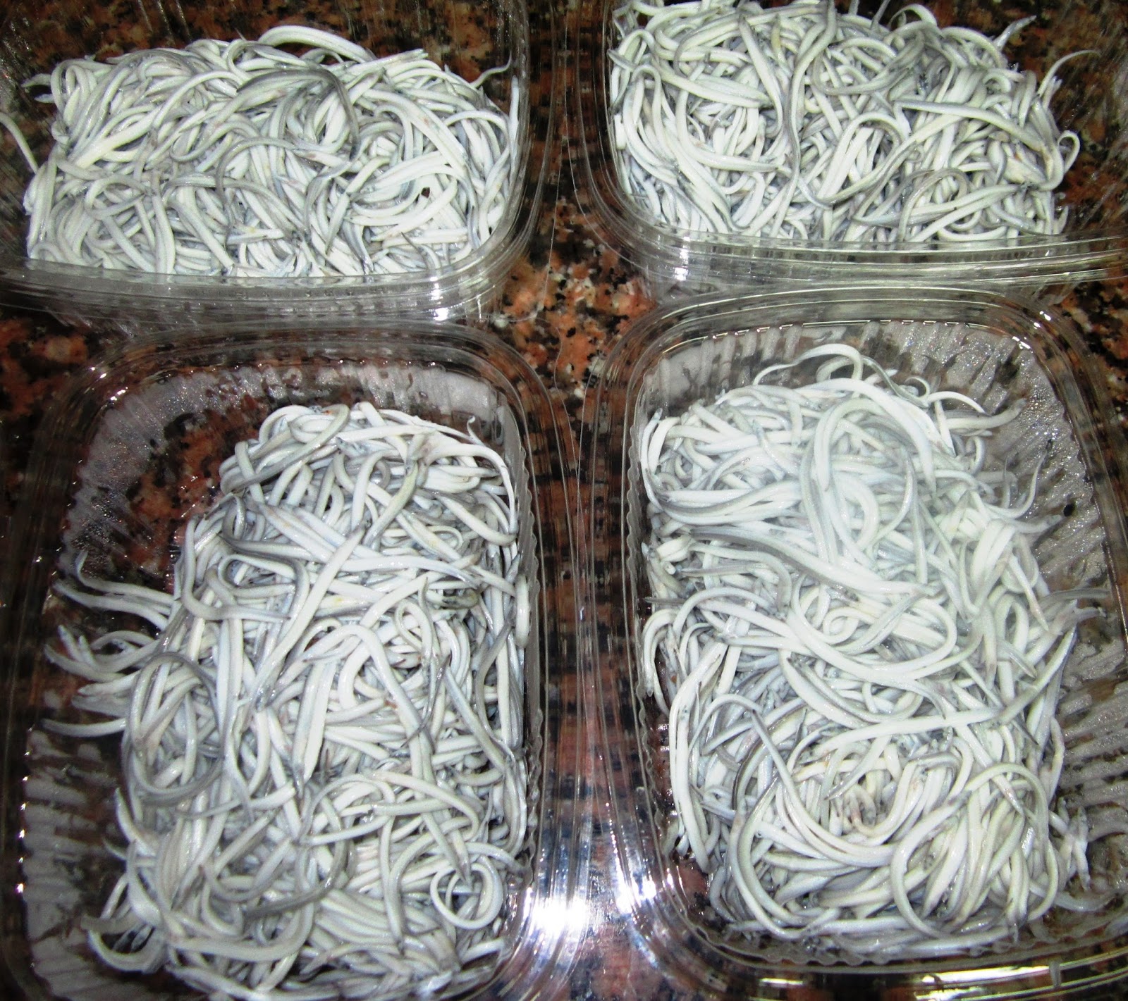 El rincón de Mundín: FIESTA DE LA ANGULA XXXI EDICIÓN: SOTO DEL BARCO ...