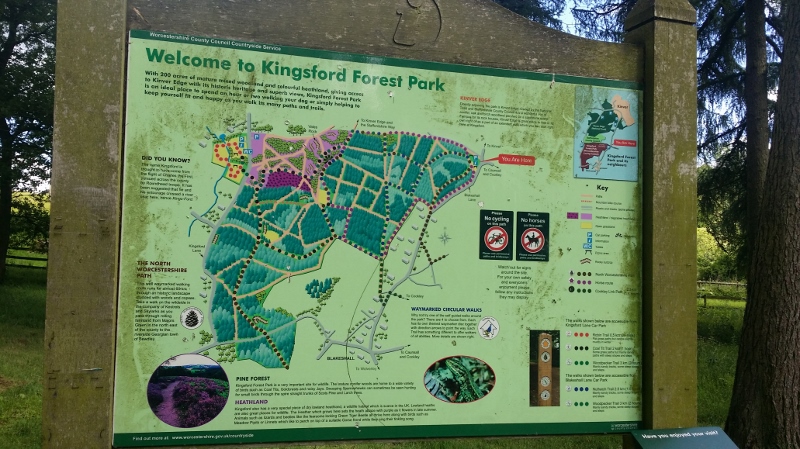 Lucy's Wednesday walks: Kinver Edge and Kingsford Forest Park