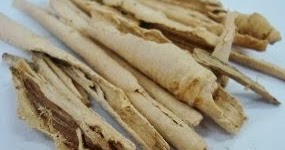 FARMAKOGNOSI: GAMBAR CORTEX