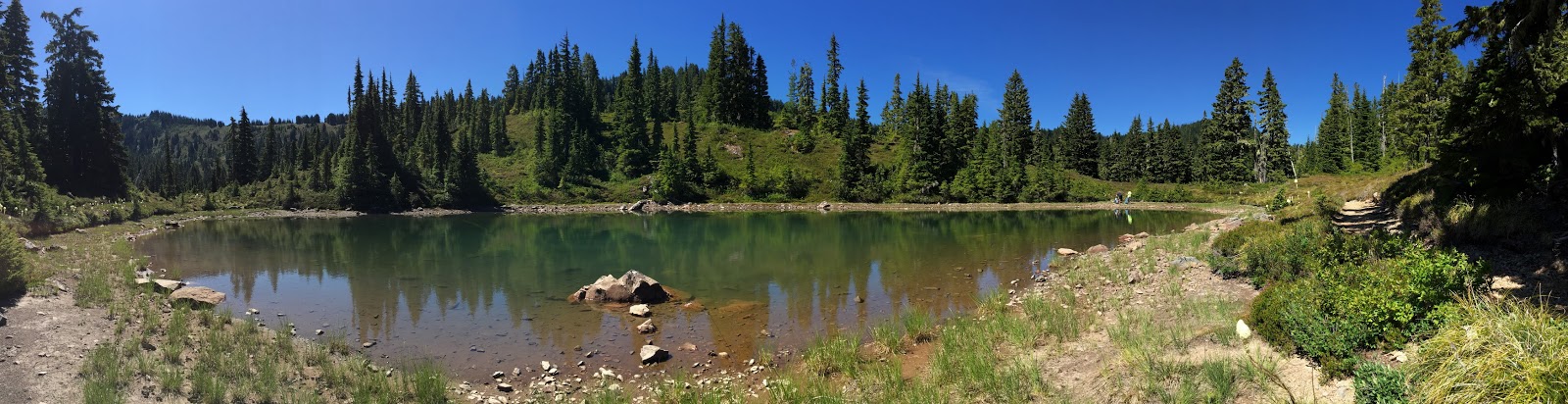 Bergquist Hike Blog: Seven Lakes Basin, Olympic National Park - June 17 ...