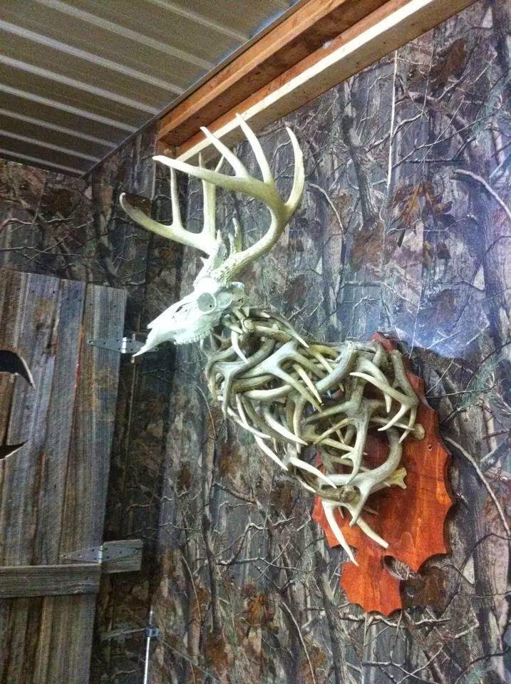 Marian's Hunting Stories, etc., etc., etc...: Very Cool Deer Mount