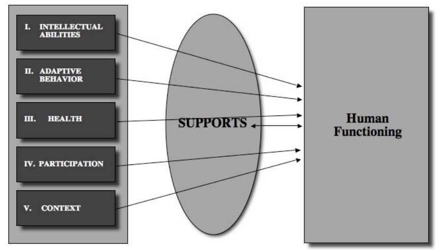 Special Education: AAIDD 11차 정의의 5가지 차원요소