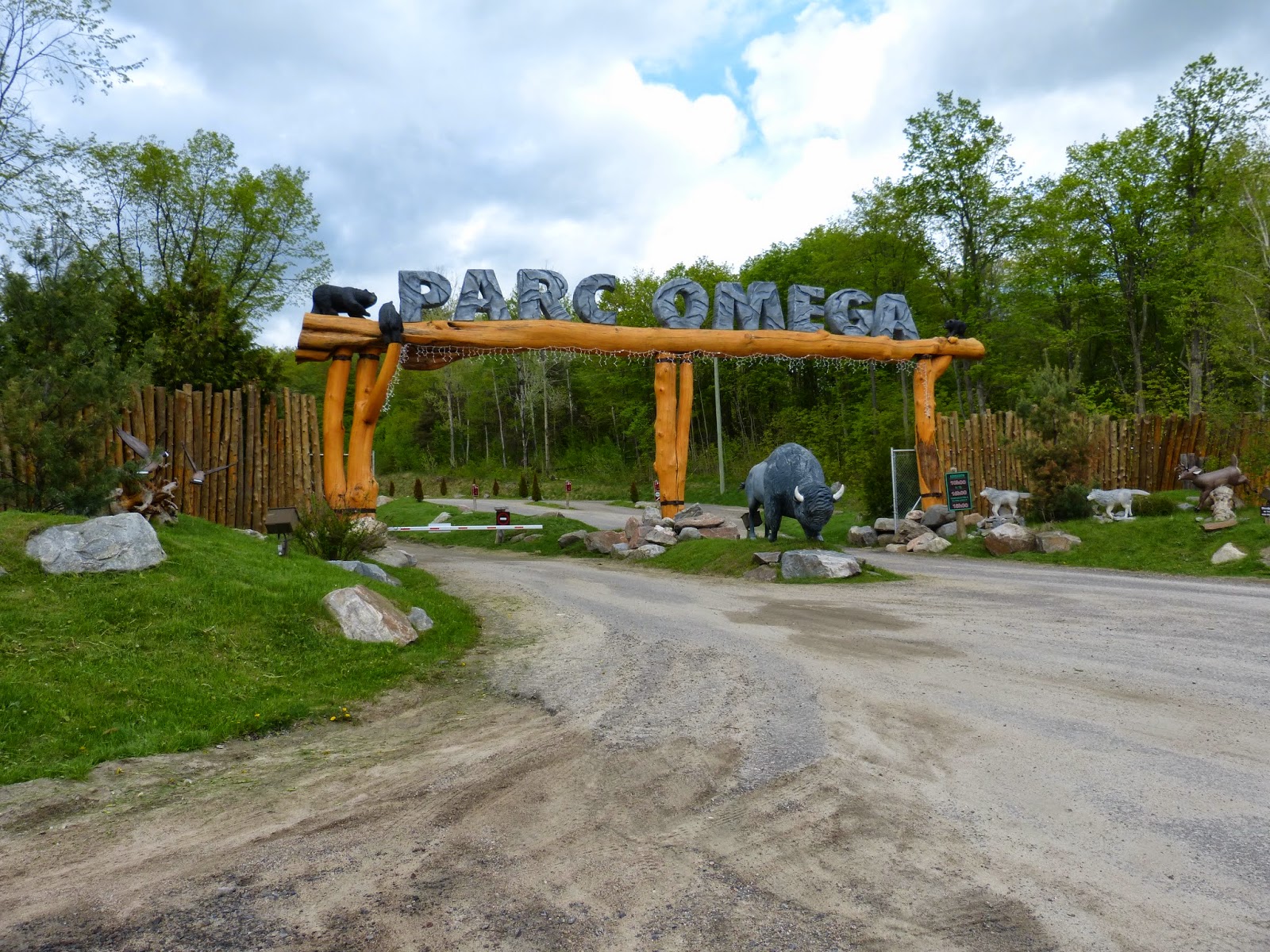 Tea and Circuses: North American Safari: Parc Omega
