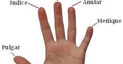 TECNICAS DE DIGITACION: PASOS PARA APRENDER A DIGITAR