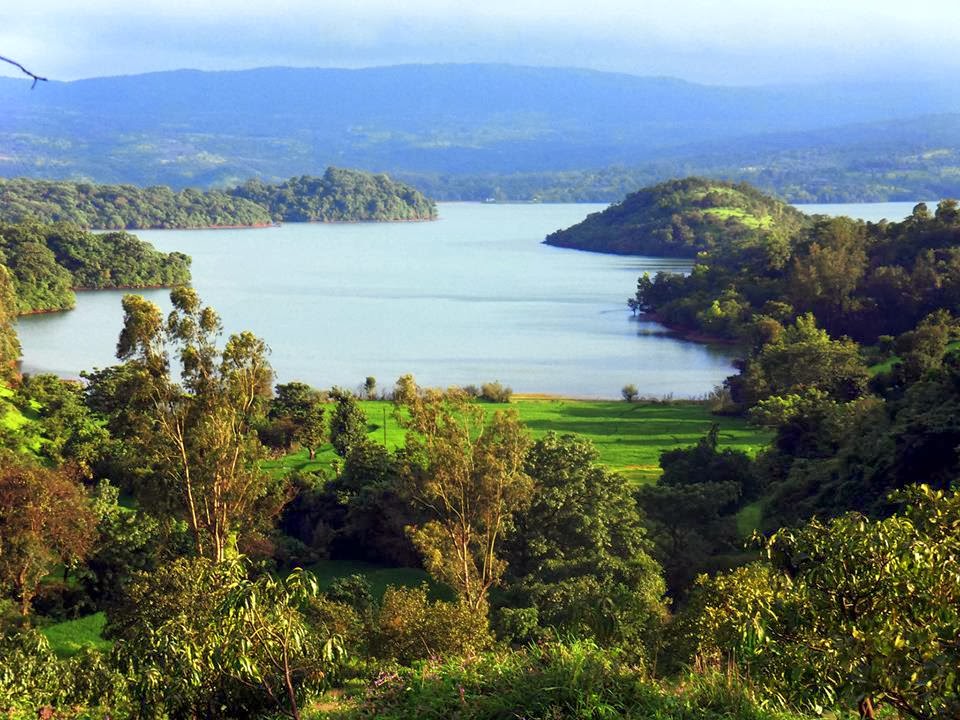 radhanagari wildlife and sanctury: RADHANAGARI DAM BACK WATAR
