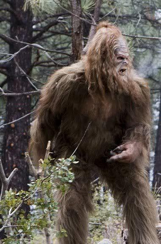 7 Makhluk Misterius di Jepang | All About Japan | MOshi-MOshi