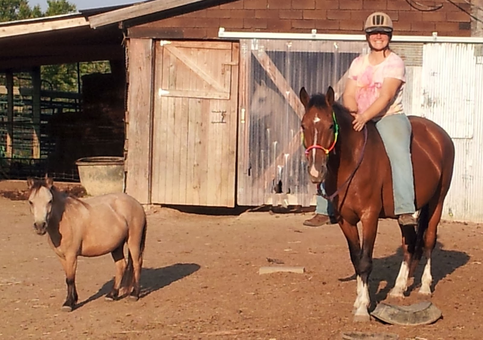 Mustang Dreams....: I am lucky...I have horses...