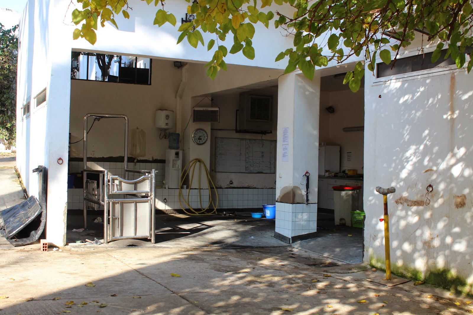 The Ninth Year...: Morocco: The American Fondouk