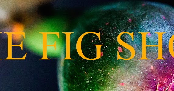 Seattle Garden & Fruit Adventures: My Fig Shop is Officially Open!