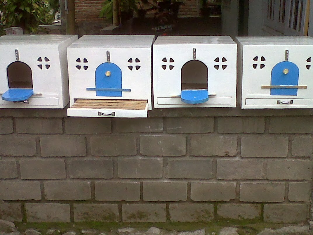 merpati: CONTOH KANDANG MERPATI HIAS