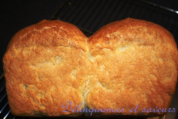 Délinquances et saveurs: Pain pistolet Belge