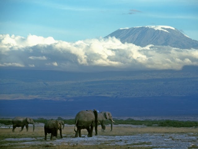 PICHA NA RAMANI YA MLIMA KILIMANJARO - STORYNZURIPLANET