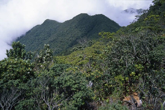 Just Little World: 11 GUNUNG TERTINGGI DI MALAYSIA
