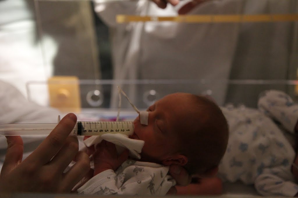 Arthur, Jules & Thomas: Premiers essais de tétée ...