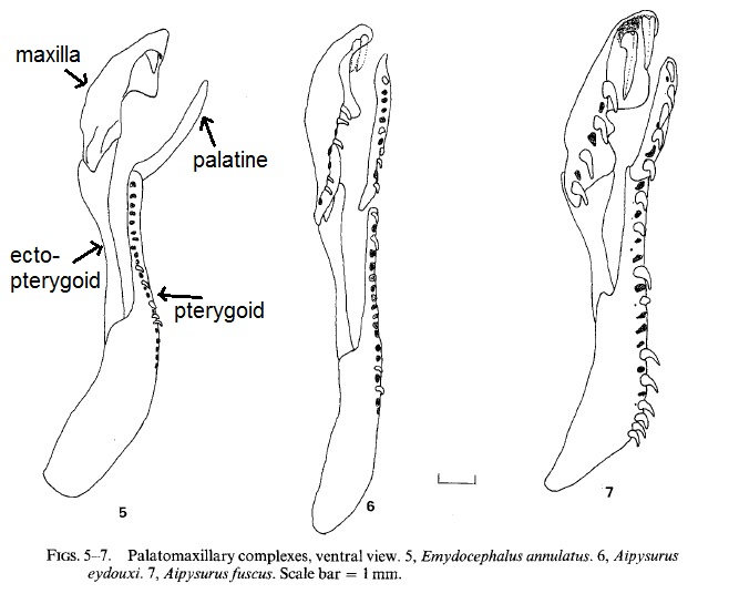 snaketalk | Just another WordPress.com site | Page 8