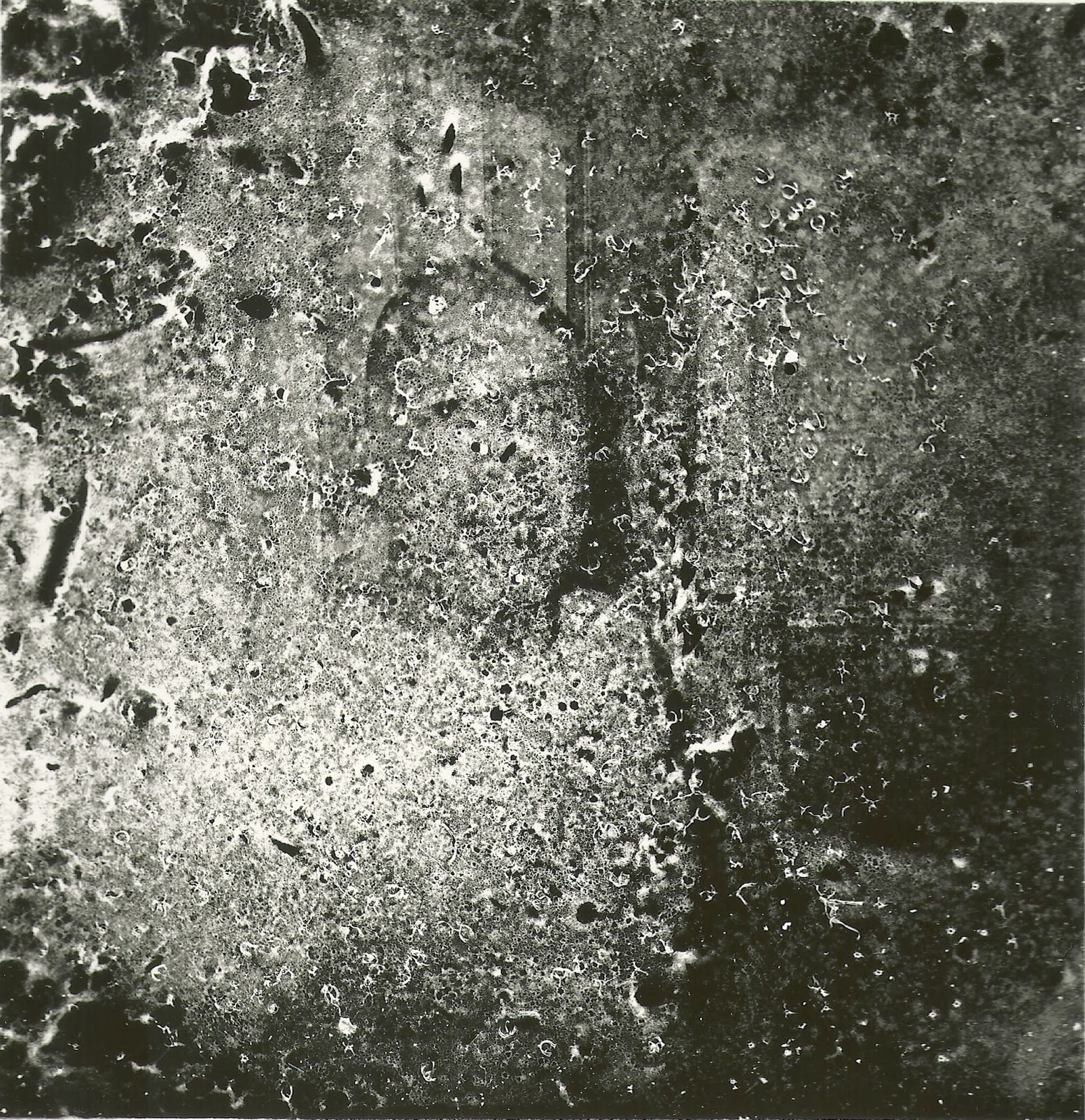 Sean Fitzsimmons Photography