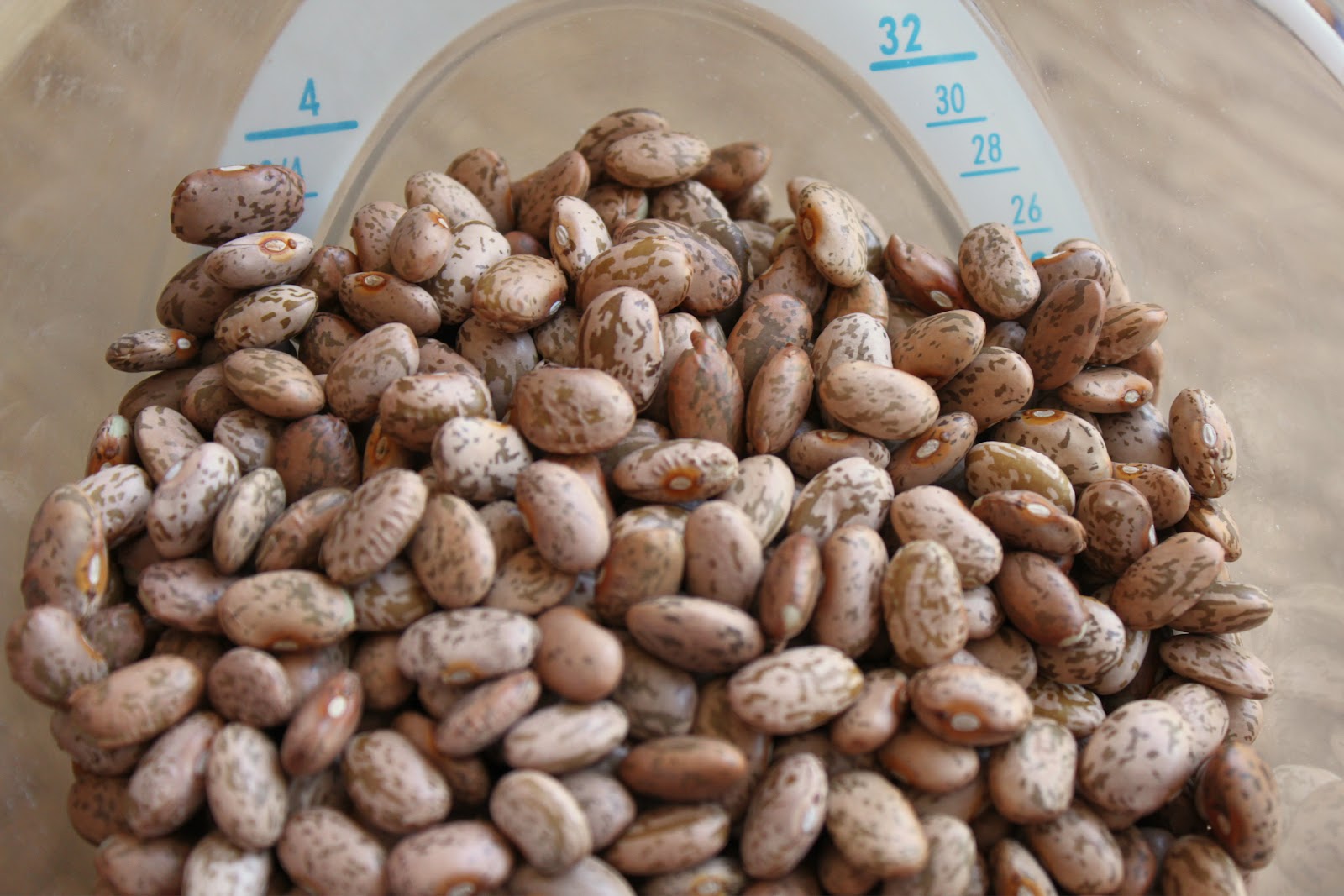 Homemade Smoky Campfire Beans for the Barbecue - A Feast For The Eyes