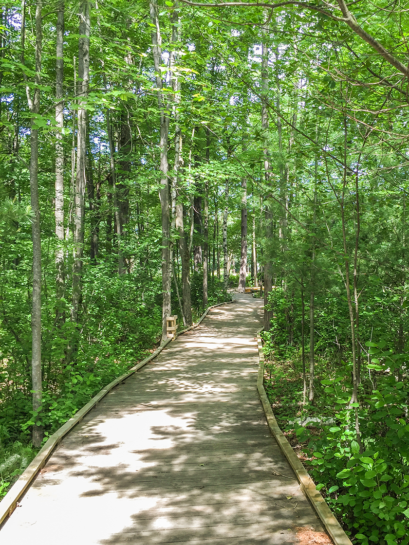 Wisconsin Explorer: Biking the Green Circle Trail in Stevens Point