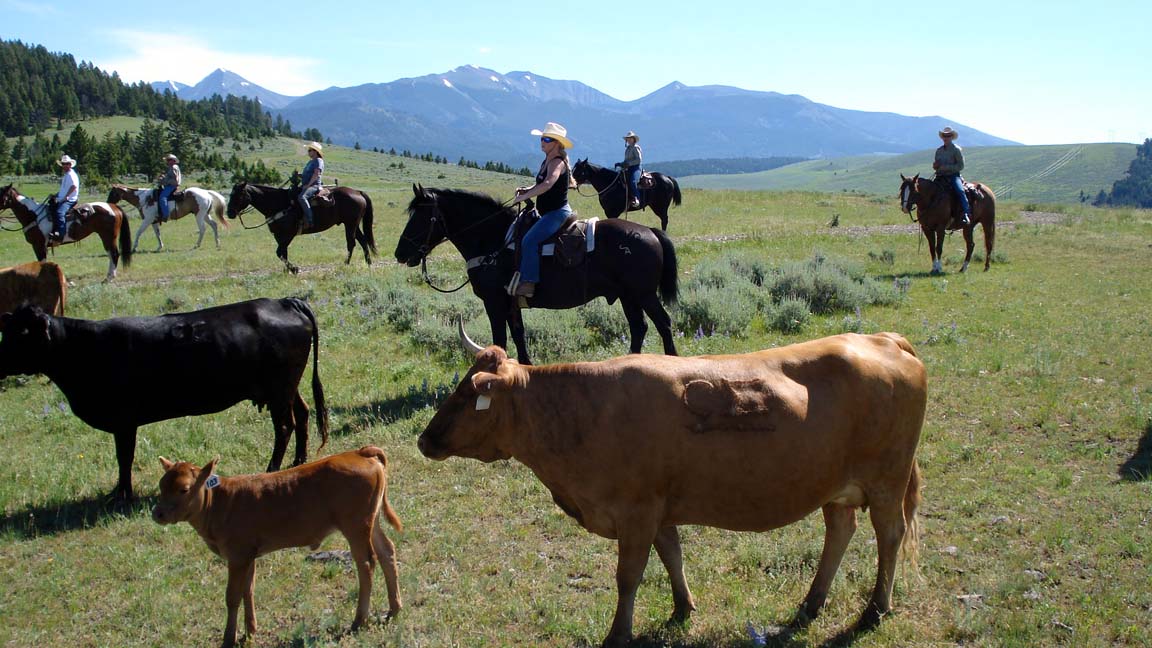 Our Marlboro Ranch/Crazy Mountain Ranch Adventure - June 28-July 1, 2013