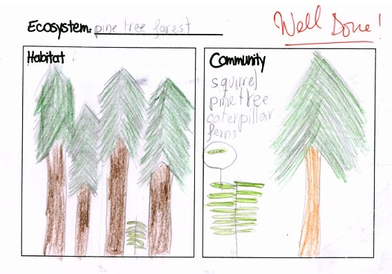 SCIENCE IN THE SCHOOL: December 2012