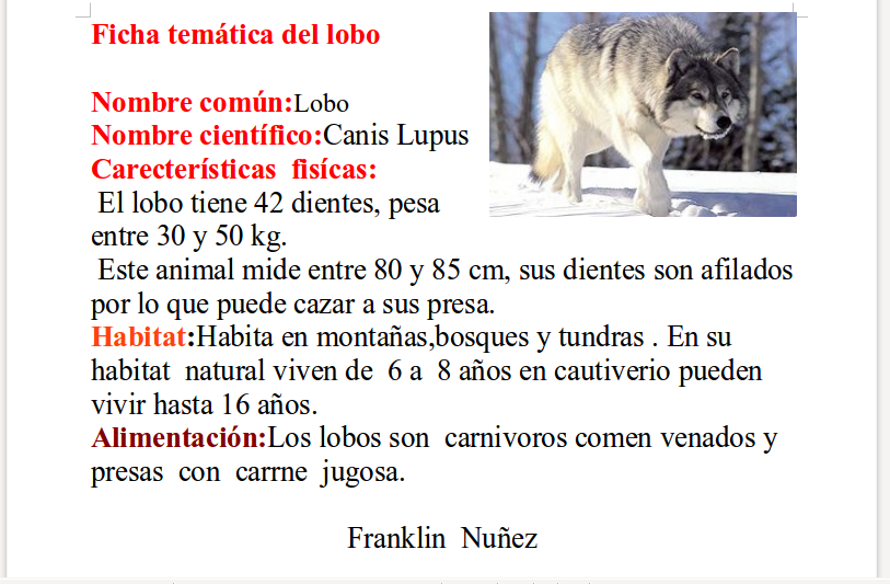 Descubriendo Bichos: Lobos