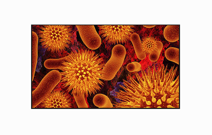 Monera : Pengertian, Struktur Tubuh, Ciri, Klasifikasi - cekrisna