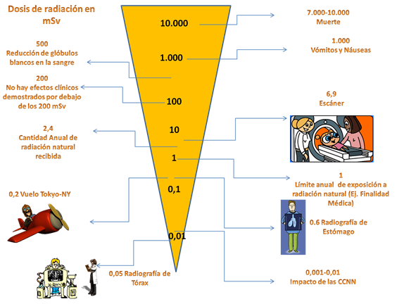 "Pensaba que era una placa": DOSIS DE RADIACIÓN EN EXÁMENES RADIOLÓGICOS: