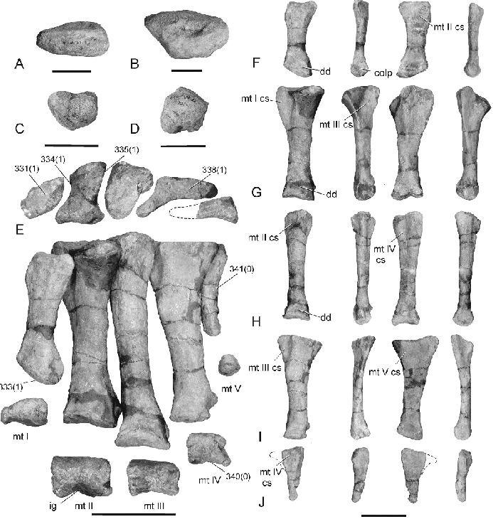 Prehistoric Beast of the Week: Mussaurus: Prehistoric Animal of the Week
