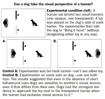 Skepticism & Science: Did Dogs Become Smarter Through Domestication? An ...