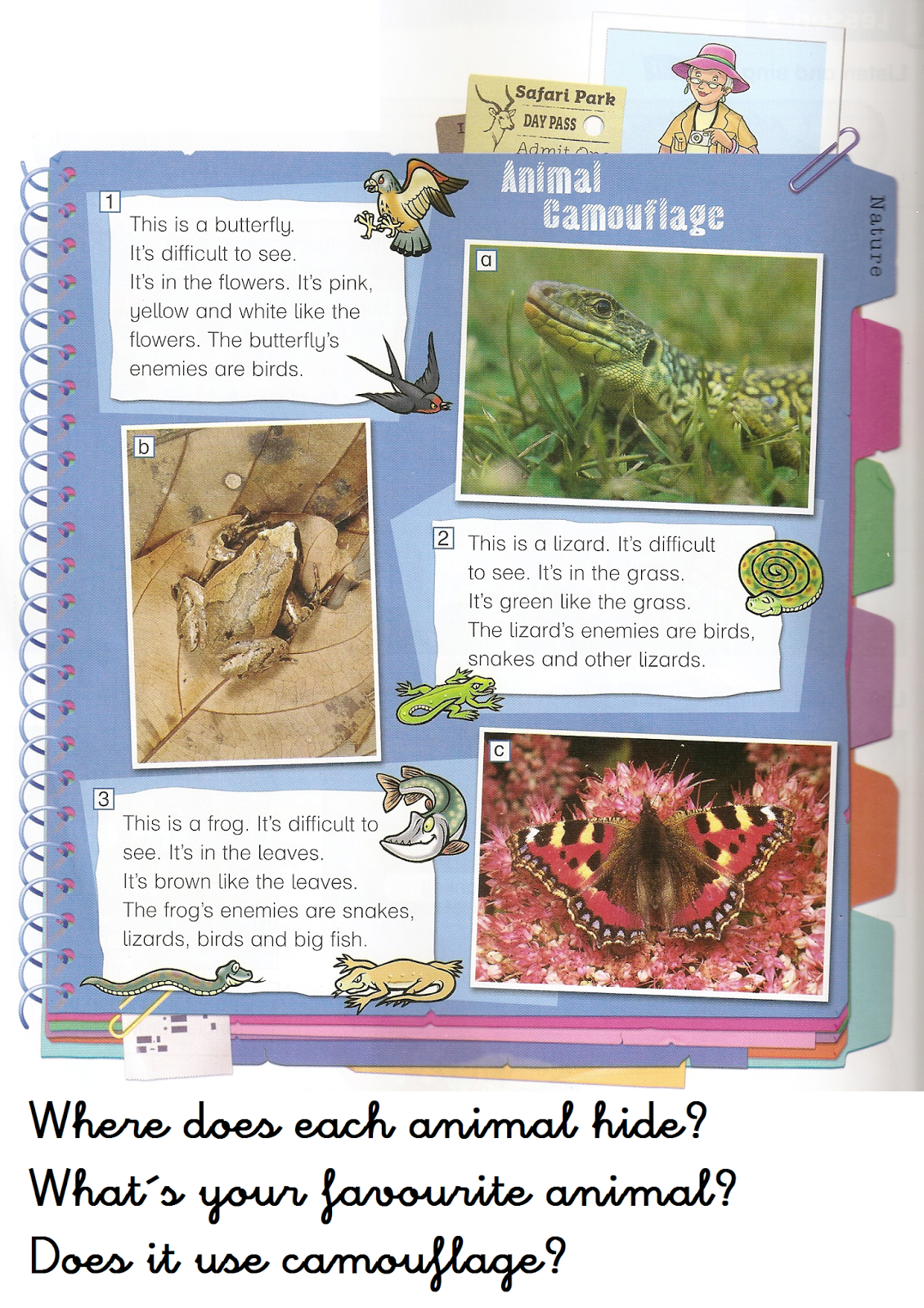 It's Teaching Time: 3rd grade Primary: The animals