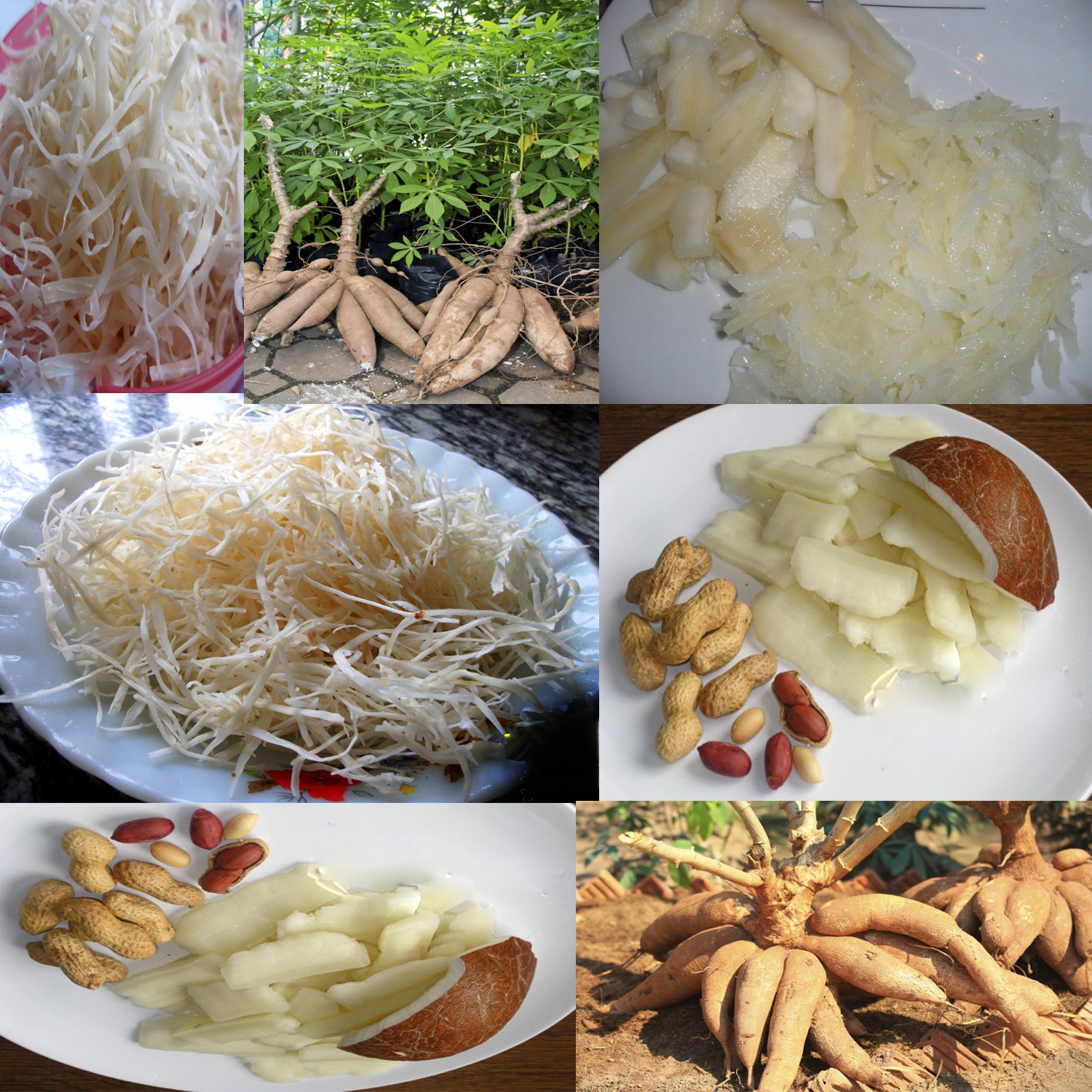 ALL AFRICAN DISHES: CASSAVA RECIPES (ABACHA MMIRI-TAPIOCA)