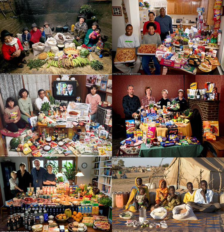 the pursuit of deliciousness: The Great Global Food Gap