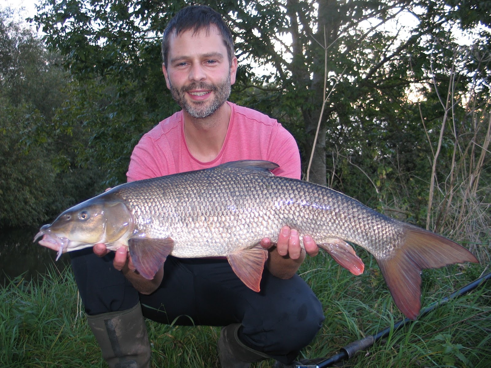 Fishy Business, an angler's journal.: The barbel keep on coming