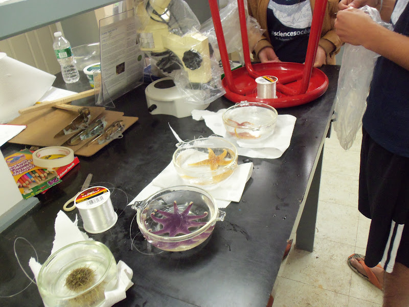 Huntsman Marine Science Centre: Turner Fenton Secondary School – Day 5