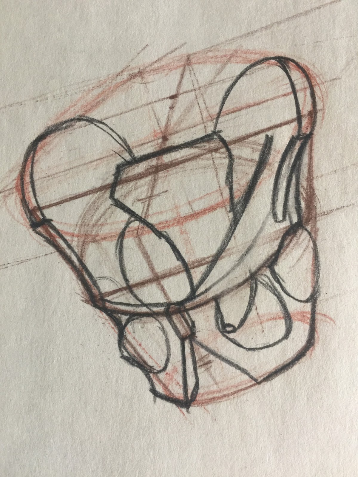 Kreated by Krause: Challenges in Learning to Draw the Pelvis Using ...