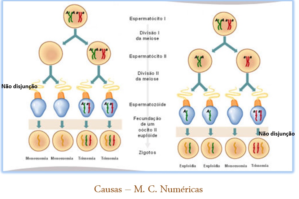 Escola Concórdia ULBRA MANAUS: RESUMO - AULA ALTERAÇÕES NO MATERIAL ...