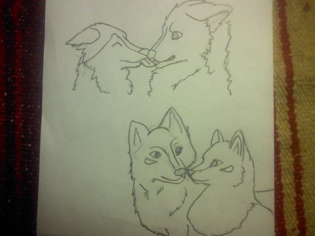 Fuzzy Furries!: Clean Furry Art