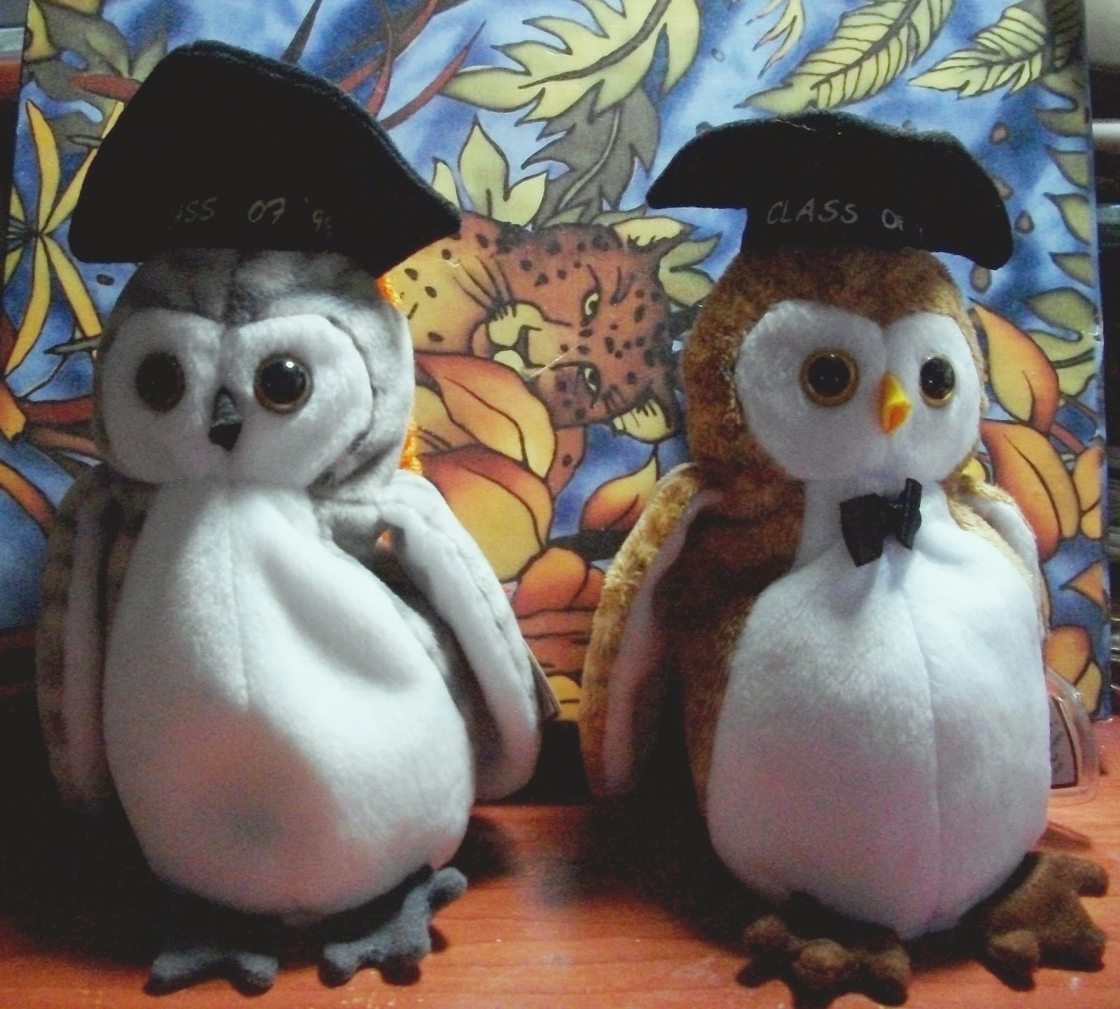 The Millennium Museum: Remembering the Year 2000!: Beanie Babies: Class ...