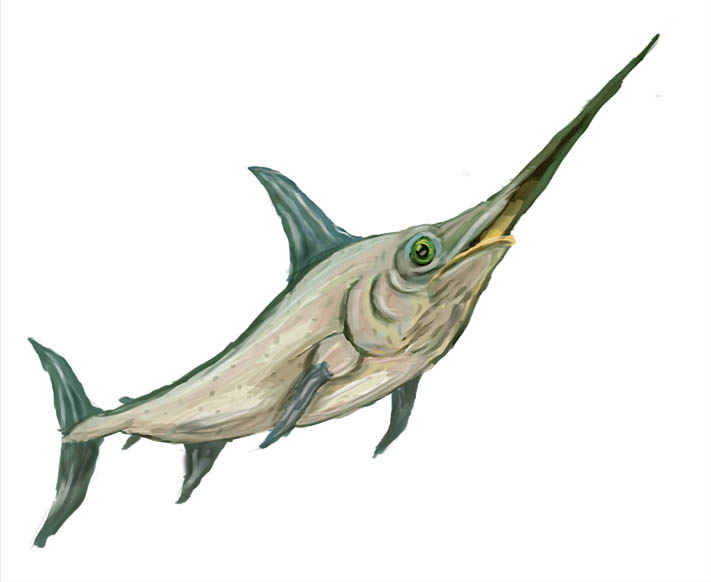 Digital Drawing Tutes - Digital Painting Tutorials: How to Draw ...