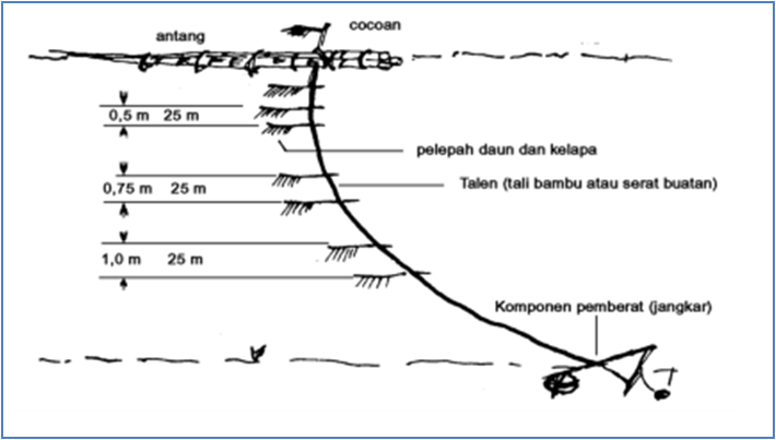 MENGENAL RUMPON - Kelapkeliplampune