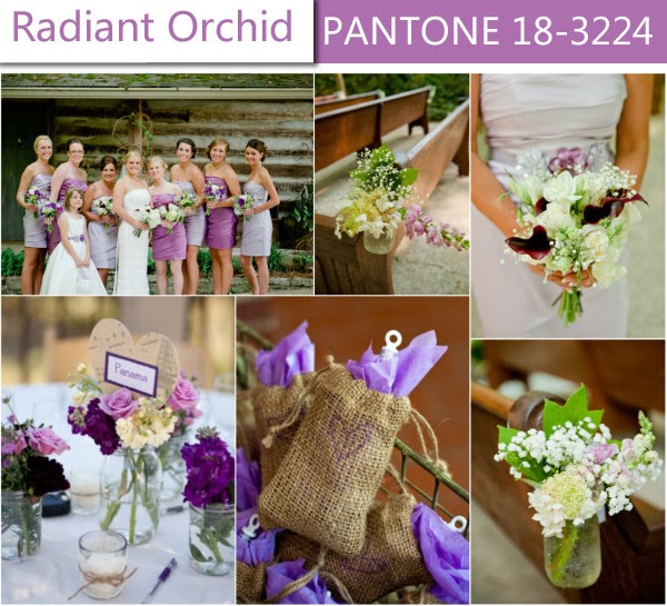 Future Trends 2014: Pantone Color 2014 : Hemlock, Radiant Orchid ...